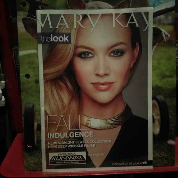 Other | Mary Kay The Look Magazine Fall Indulgence | Poshmark